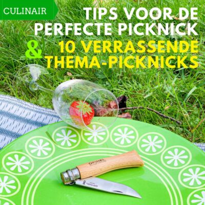 Tips voor de perfecte picknick en 10 verrassende thema-picknicks ...
