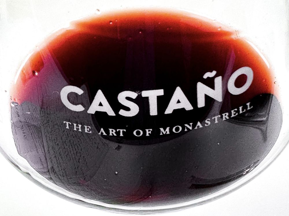 Op zoek naar de monastrell in het Spaanse wijngebied Yecla - Vinissima